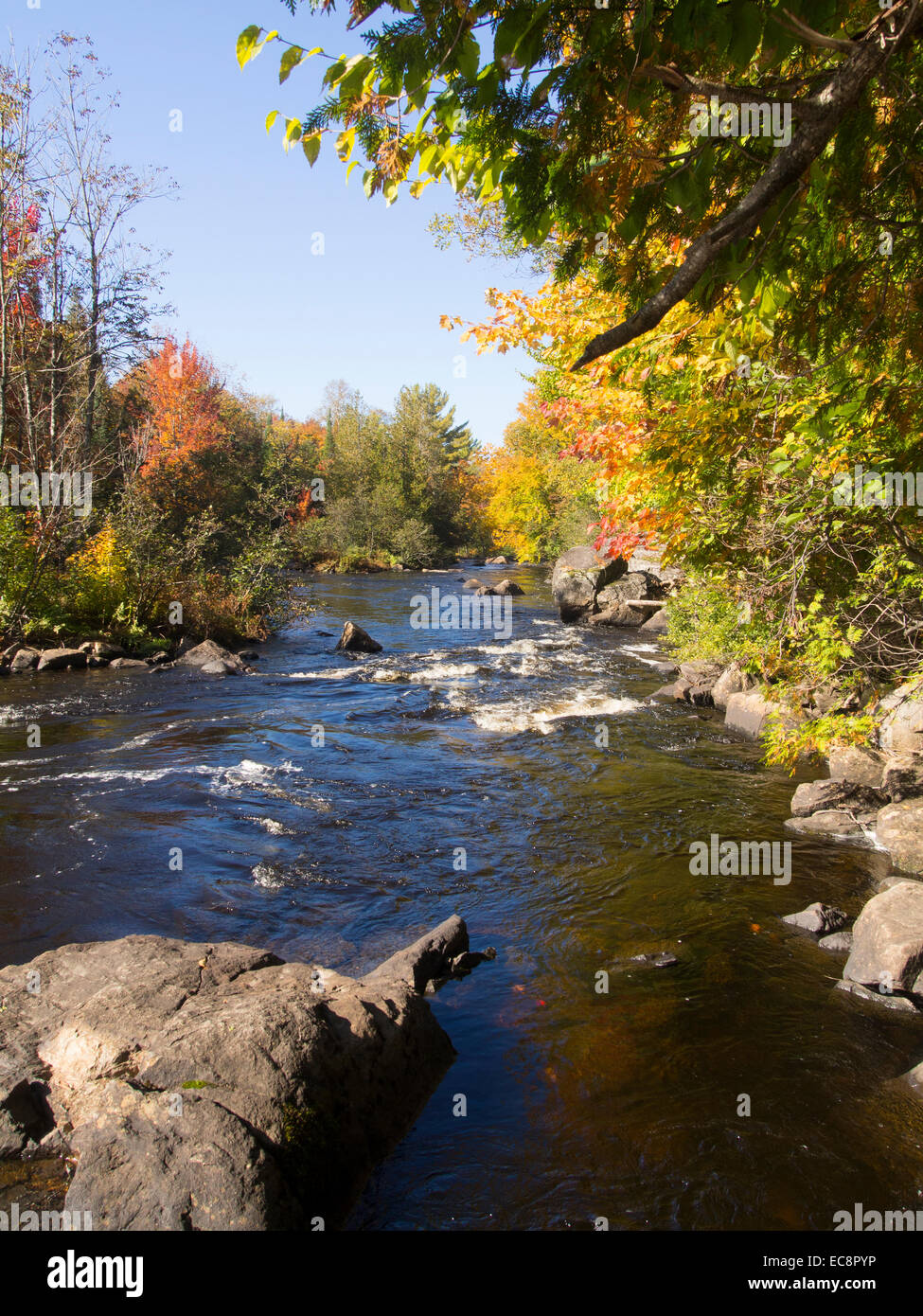Woods, river, trees in Fall Stock Photo - Alamy
