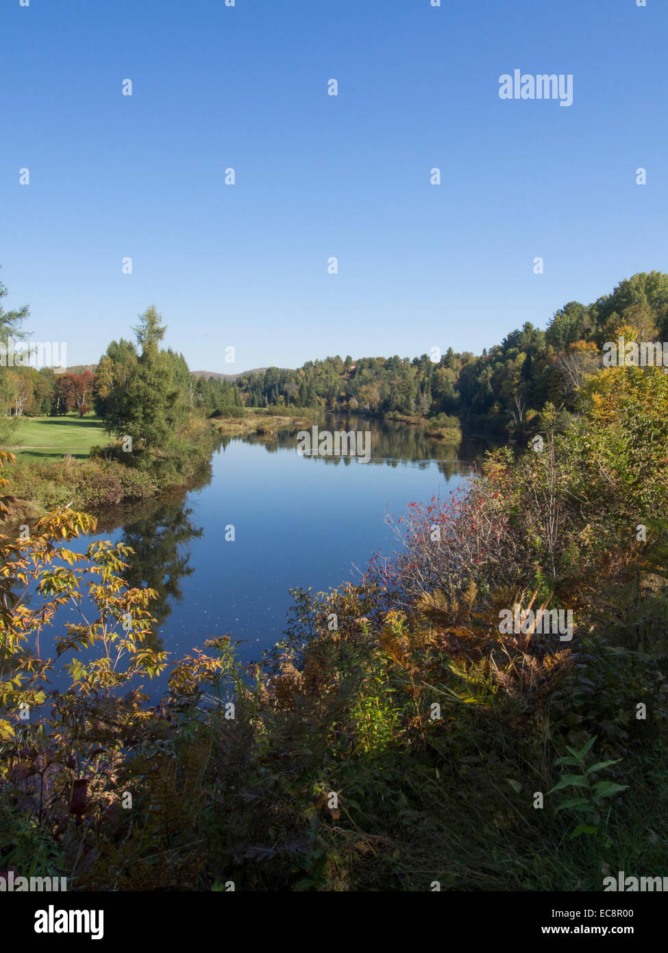 Nature, woods and river in the Fall Stock Photo - Alamy