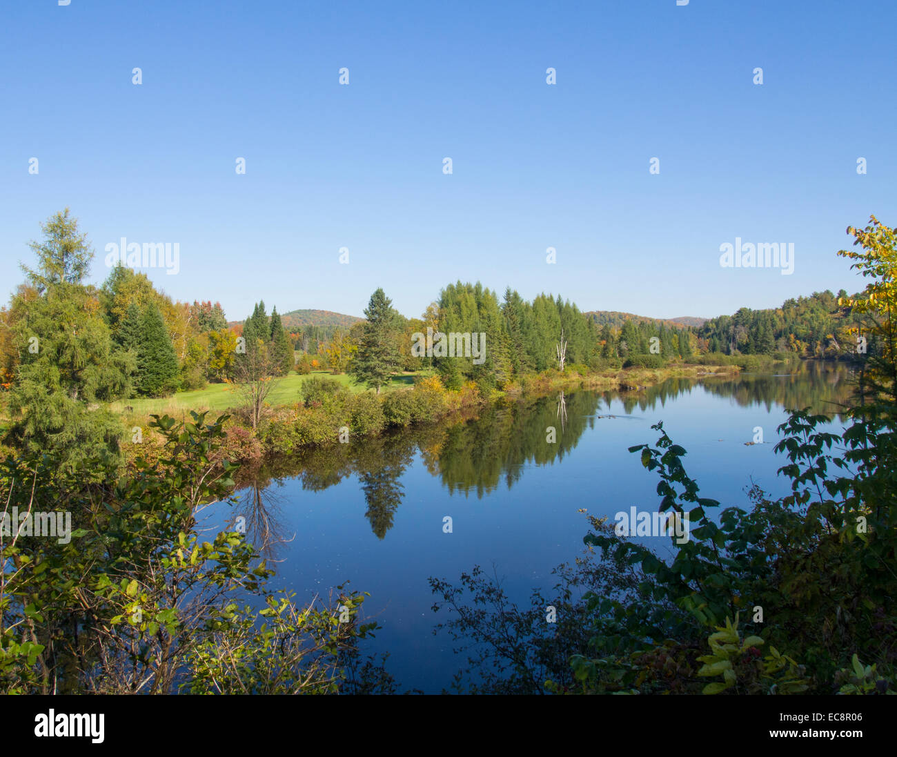 Nature, woods and river in the Fall Stock Photo - Alamy