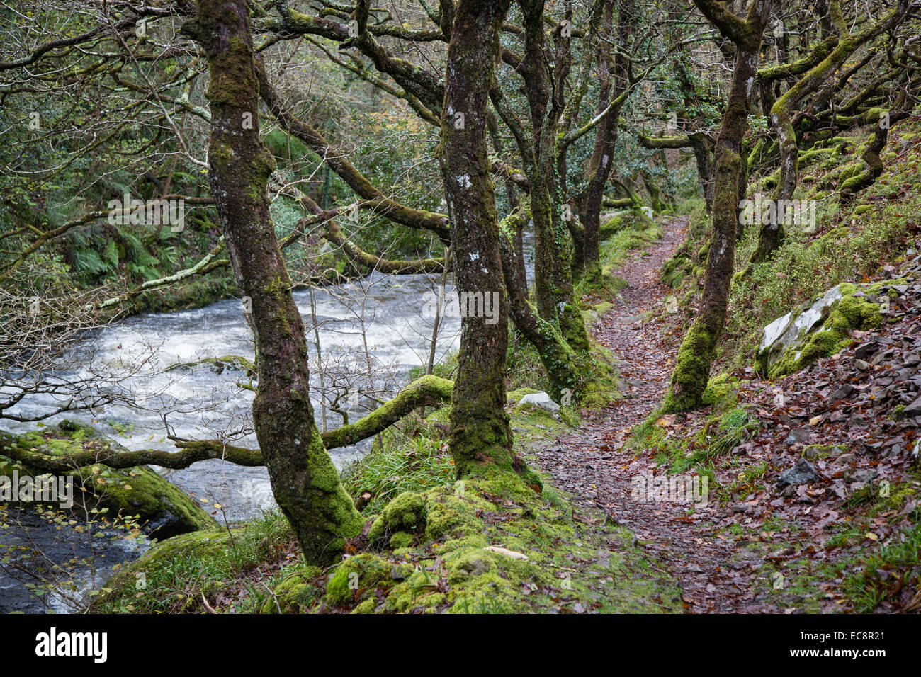 Coleridge way and watersmeet hi-res stock photography and images - Alamy