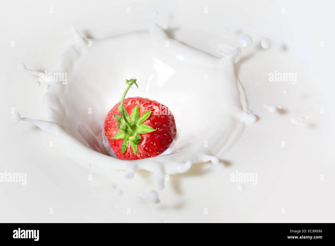 Strawberry dropped into milk with splash Stock Photo - Alamy