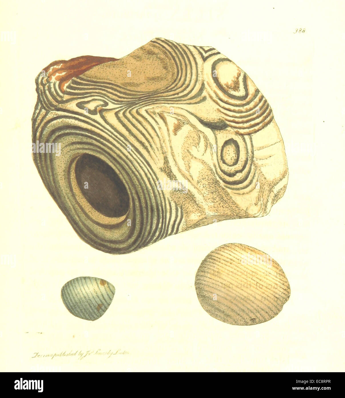 British Mineralogy Vol.4 (1811) p375 T388 SILEX quartzum Stock Photo ...