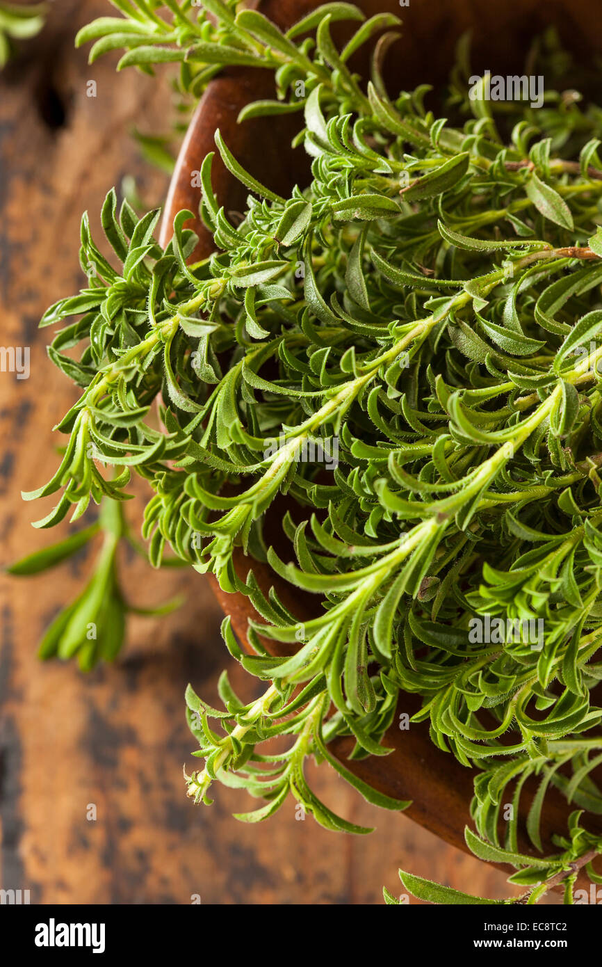 Raw Organic Green Savory Herb in a Bunch Stock Photo - Alamy