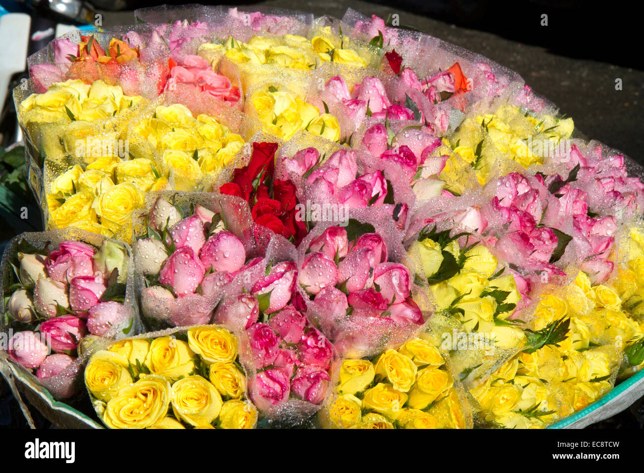 Street vendor selling roses in Da Lat, Vietnam Stock Photo - Alamy