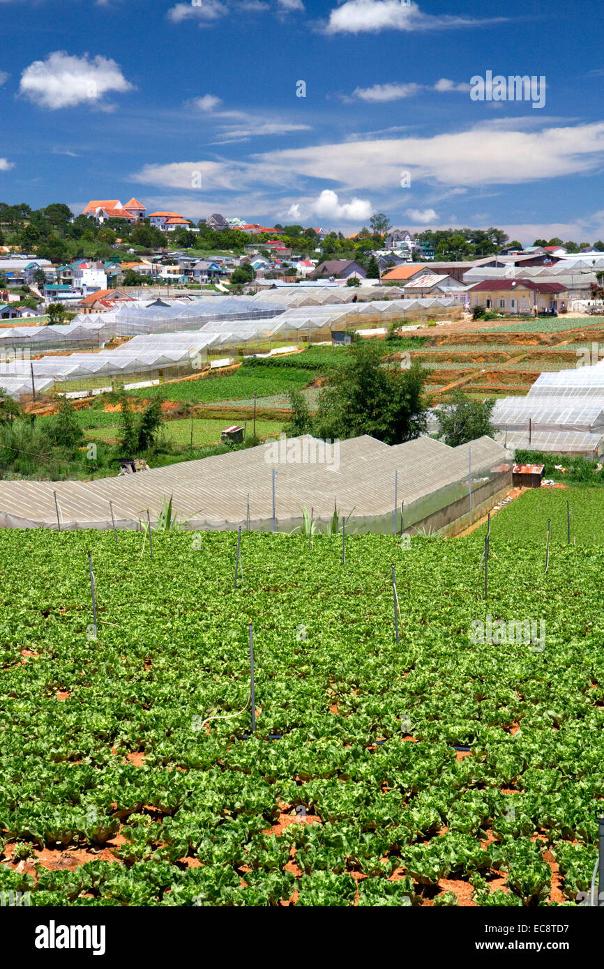 production agriculture – global crop production statistics – DTBV