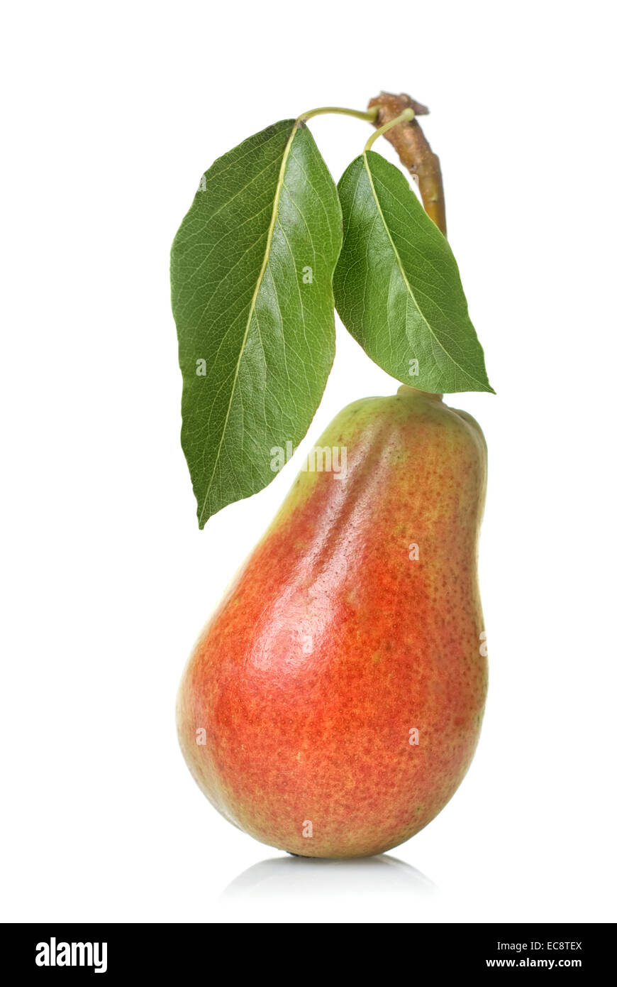 red pear with leaves isolated on white Stock Photo - Alamy