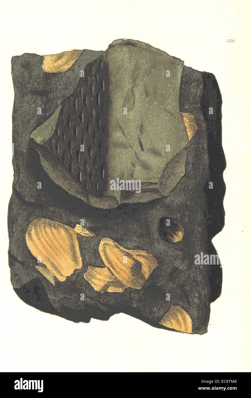 A 1817 geological illustration from British Mineralogy Vol. 5 depicting ...