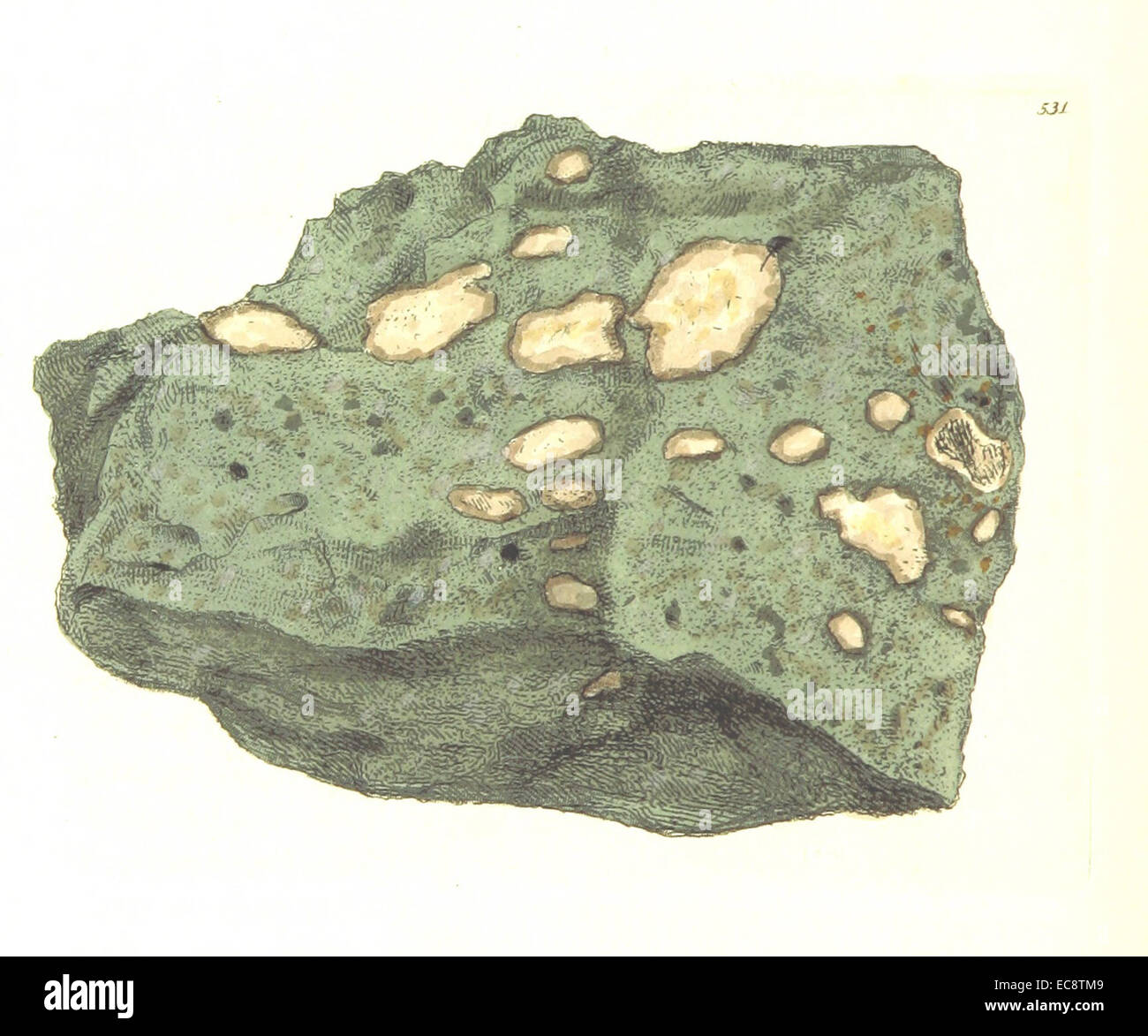 British Mineralogy Vol.5 (1817) p518 T531 TOADSTONE Stock Photo - Alamy