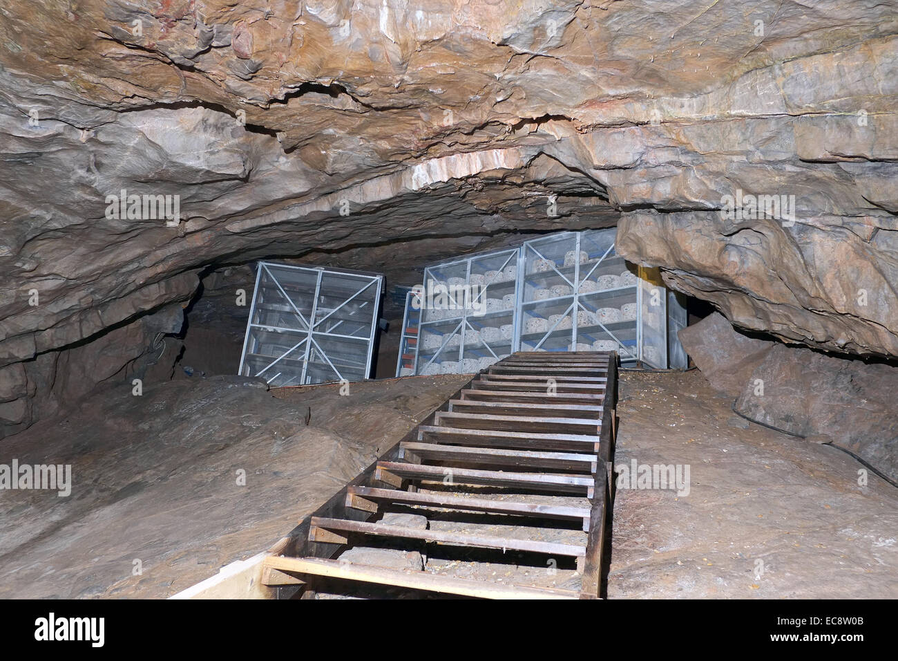 Cheddar festive night, 5th December 2014 Stock Photo - Alamy