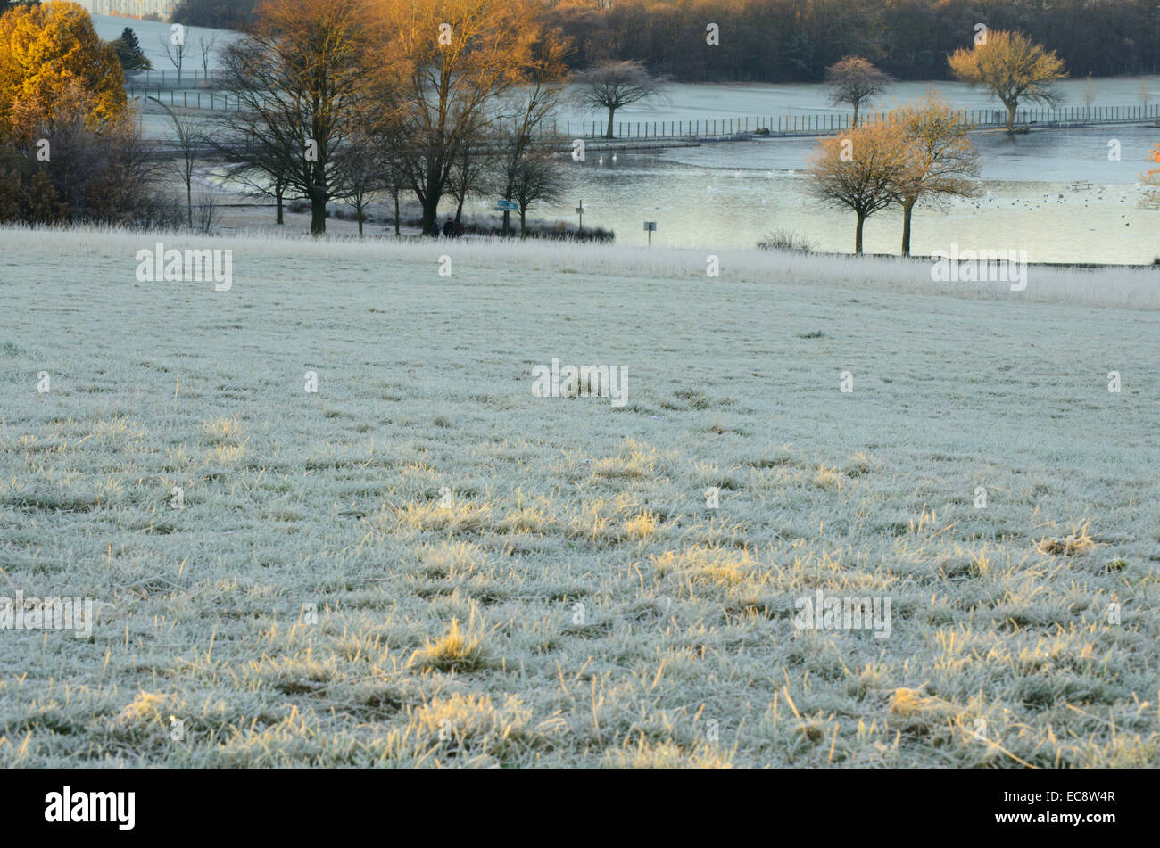 Frosty Morning at Hogganfield Park in Glasgow, Scotland Stock Photo - Alamy