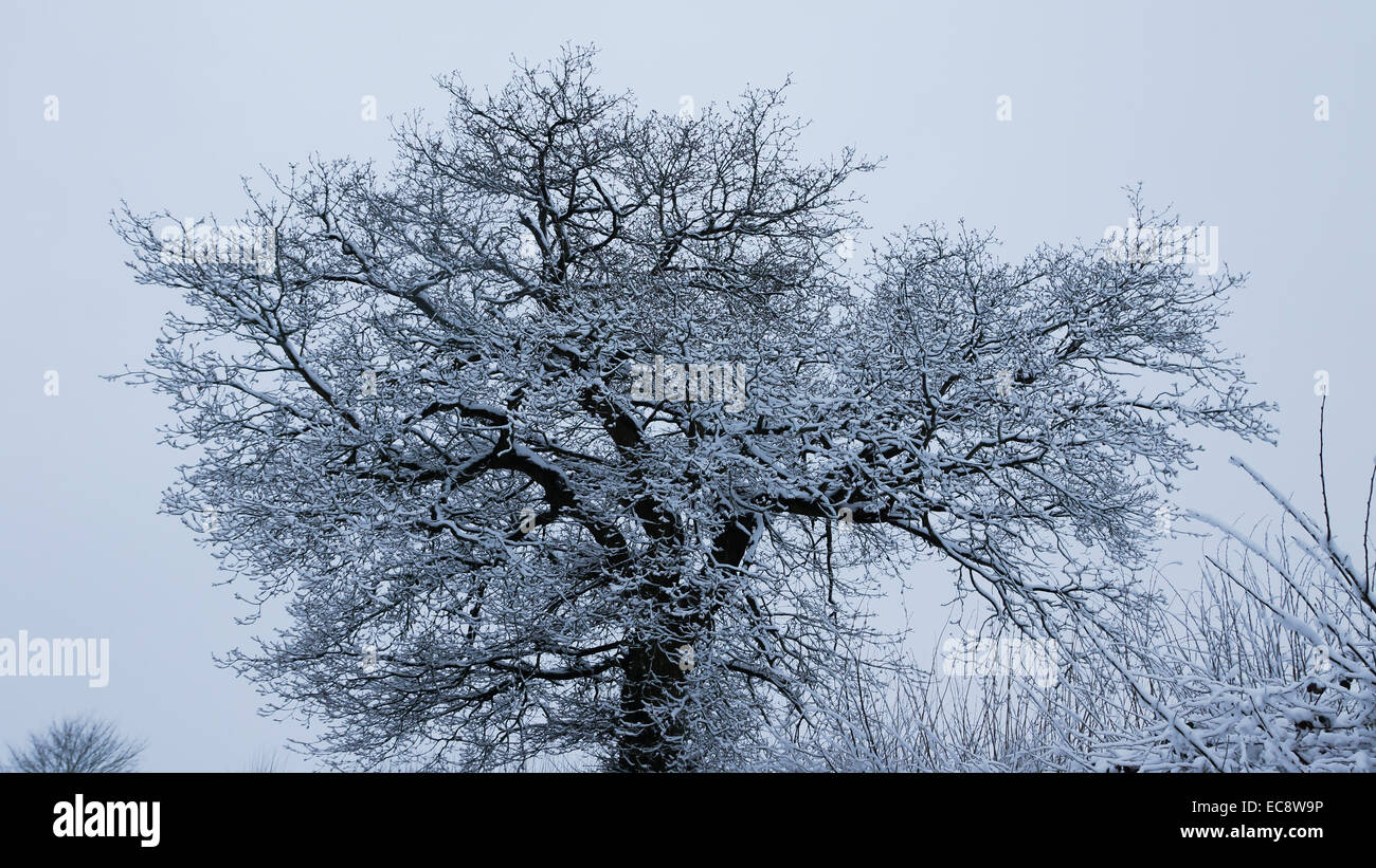 Freeze and winter hi-res stock photography and images - Alamy