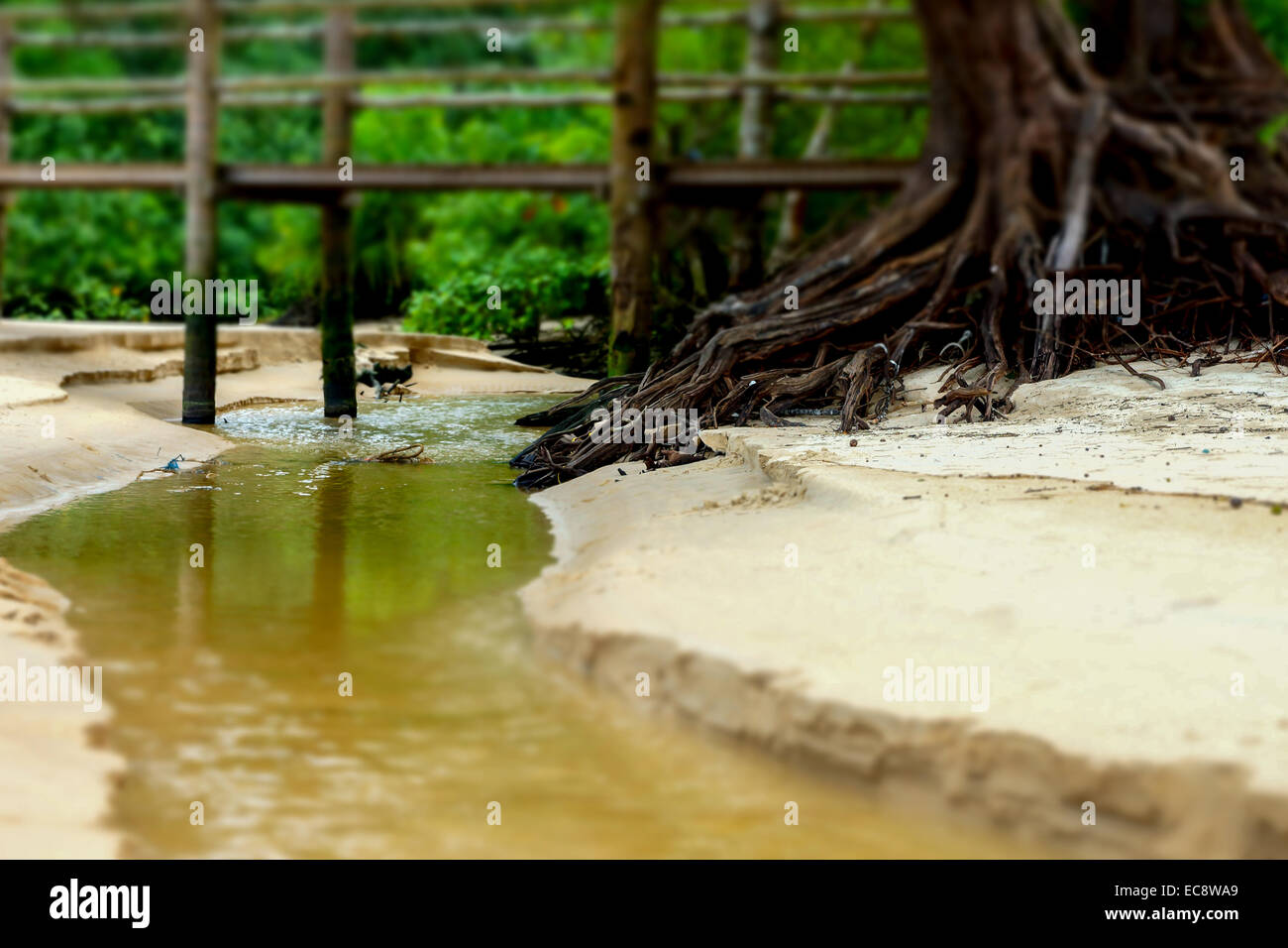stream running through a beach in langkawi, malaysia Stock Photo - Alamy