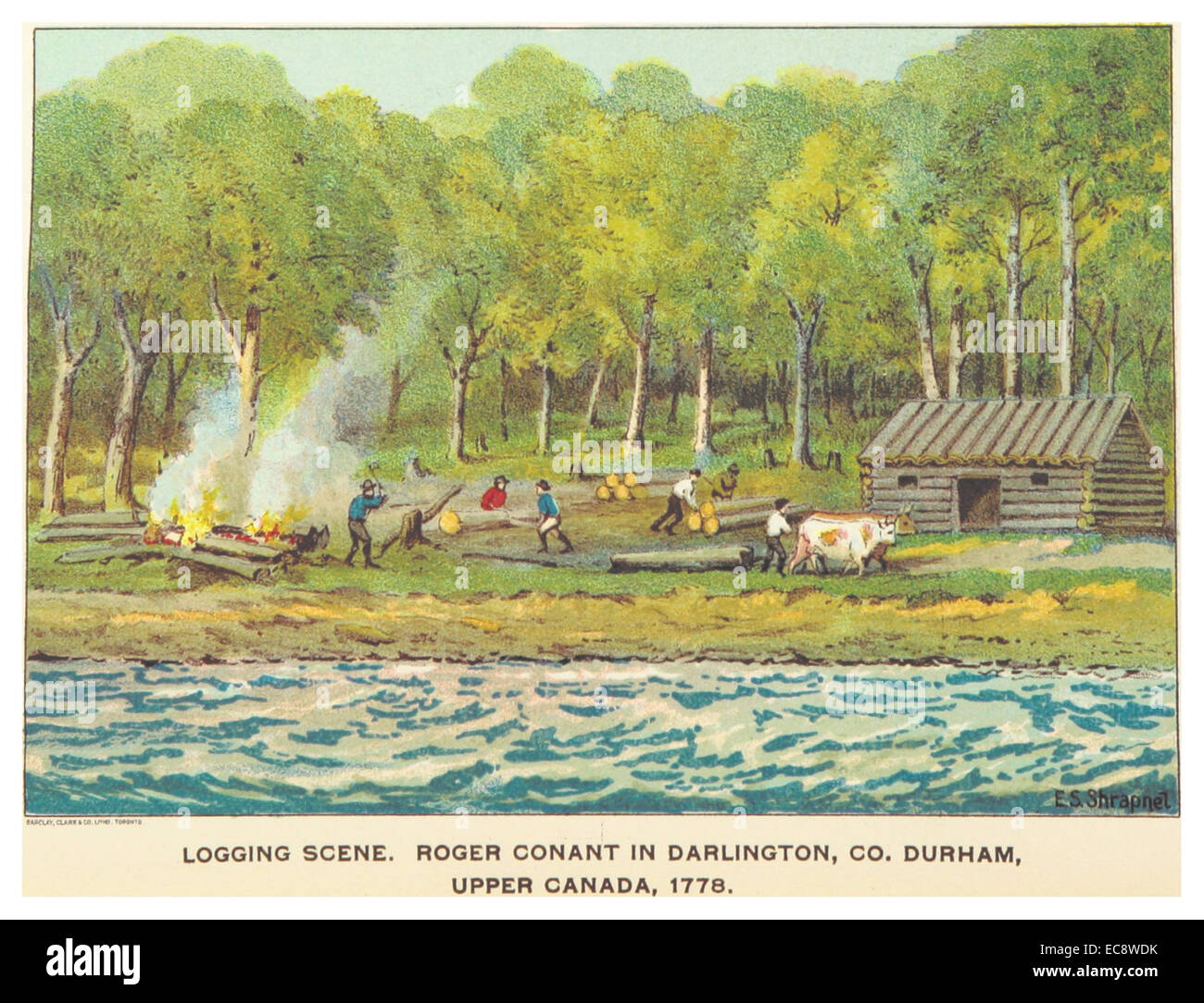 This 1898 illustration by Conant depicts a typical logging scene ...