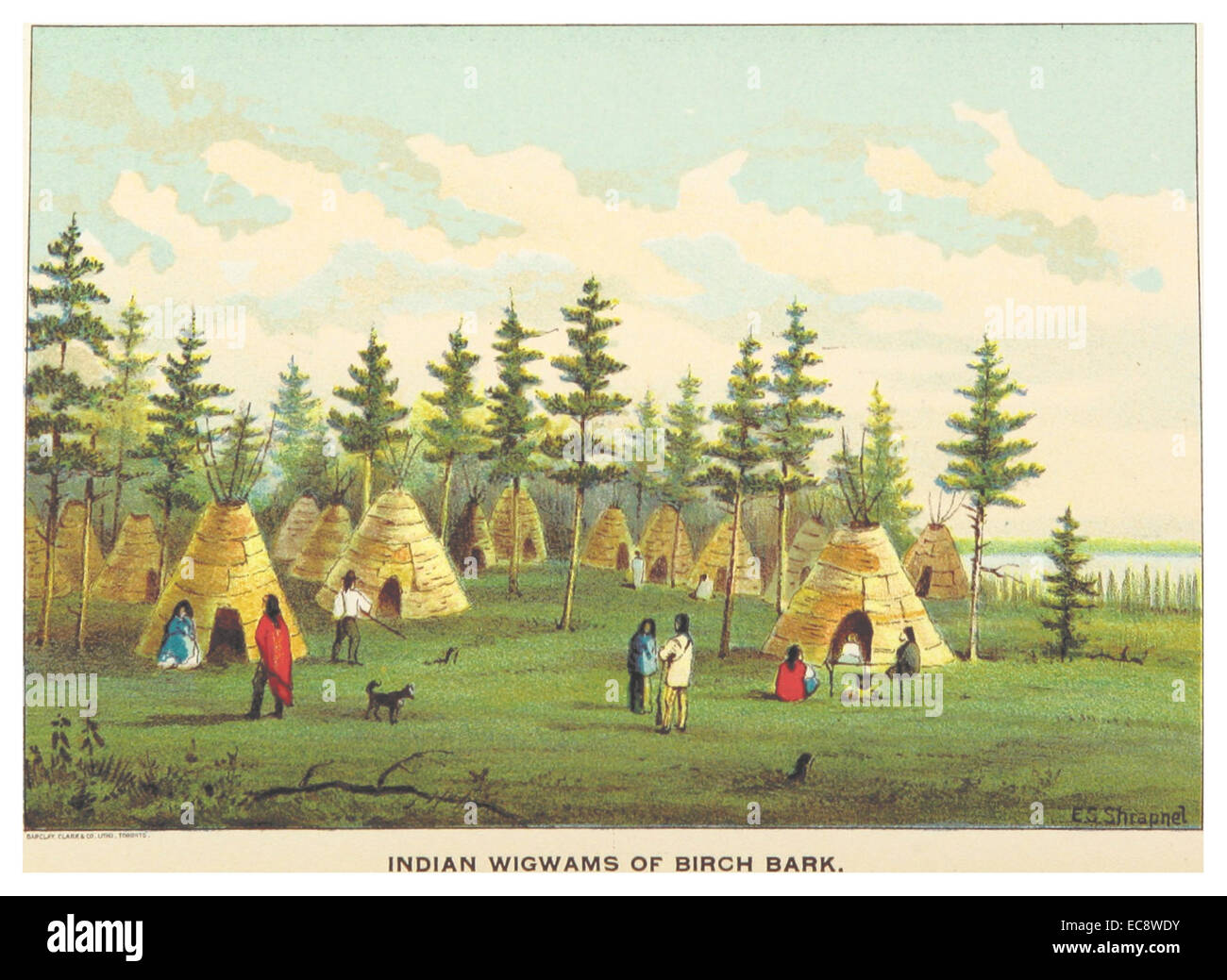 An 1898 illustration of traditional Native American wigwams constructed ...
