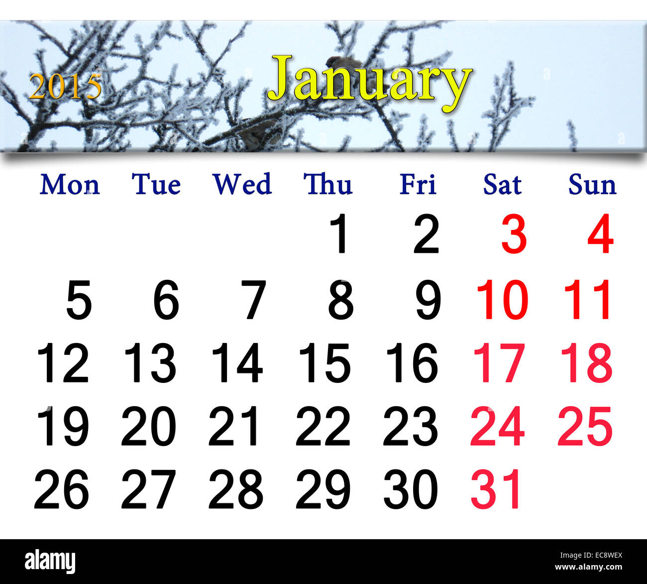 calendar for the January of 2015 with ribbon of flying sparrows above ...