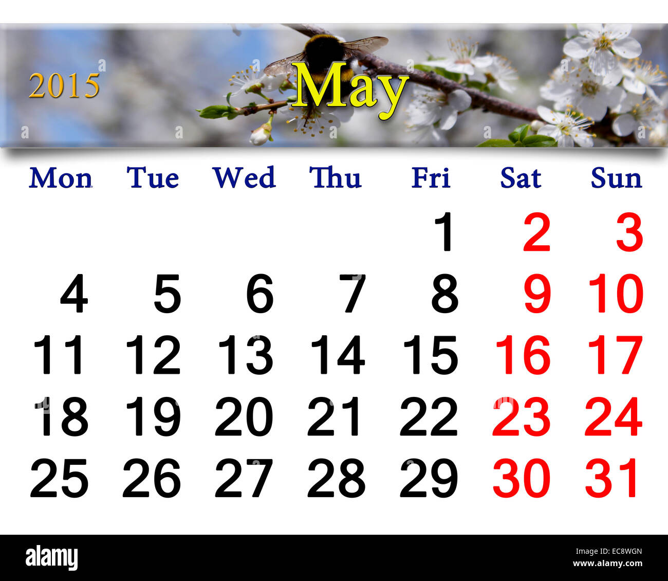 Calendar template year Cut Out Stock Images & Pictures - Alamy