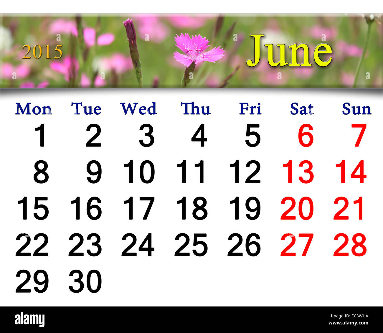 calendar for June of 2015 year with ribbon of wild carnation Stock ...