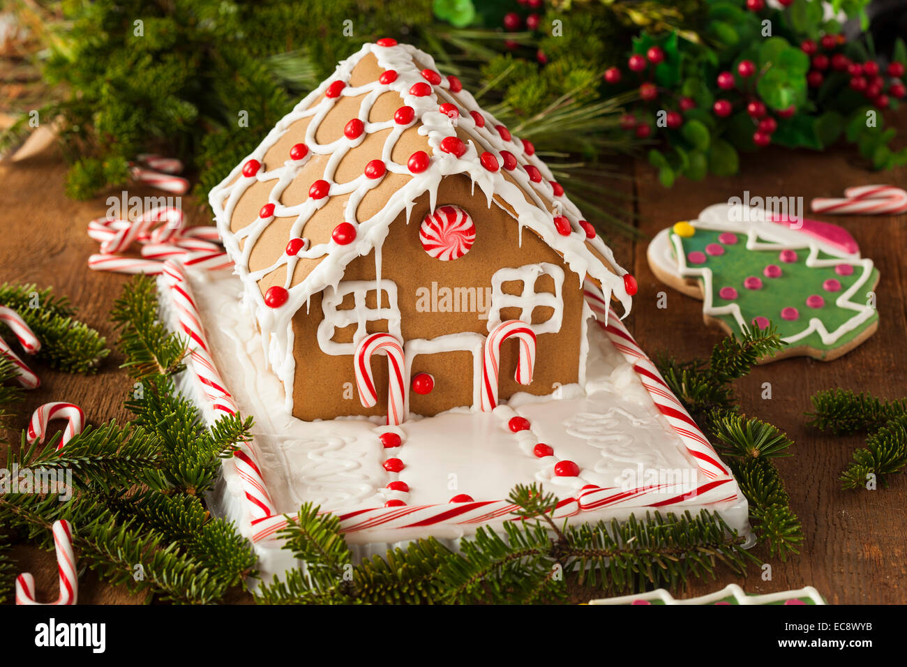 Homemade Candy Gingerbread House with Candycanes and Frosting Stock ...