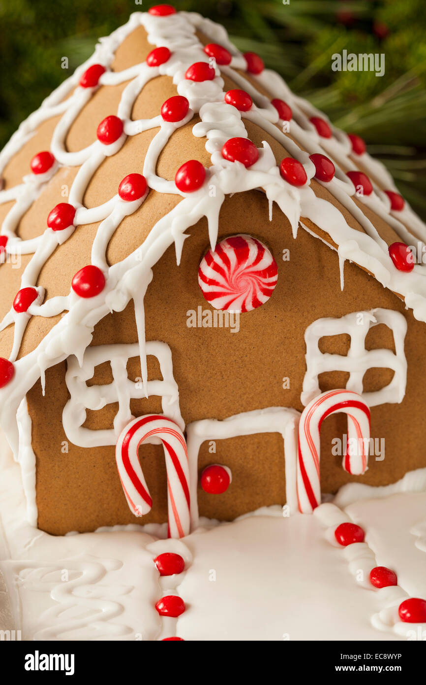 Homemade Candy Gingerbread House with Candycanes and Frosting Stock ...