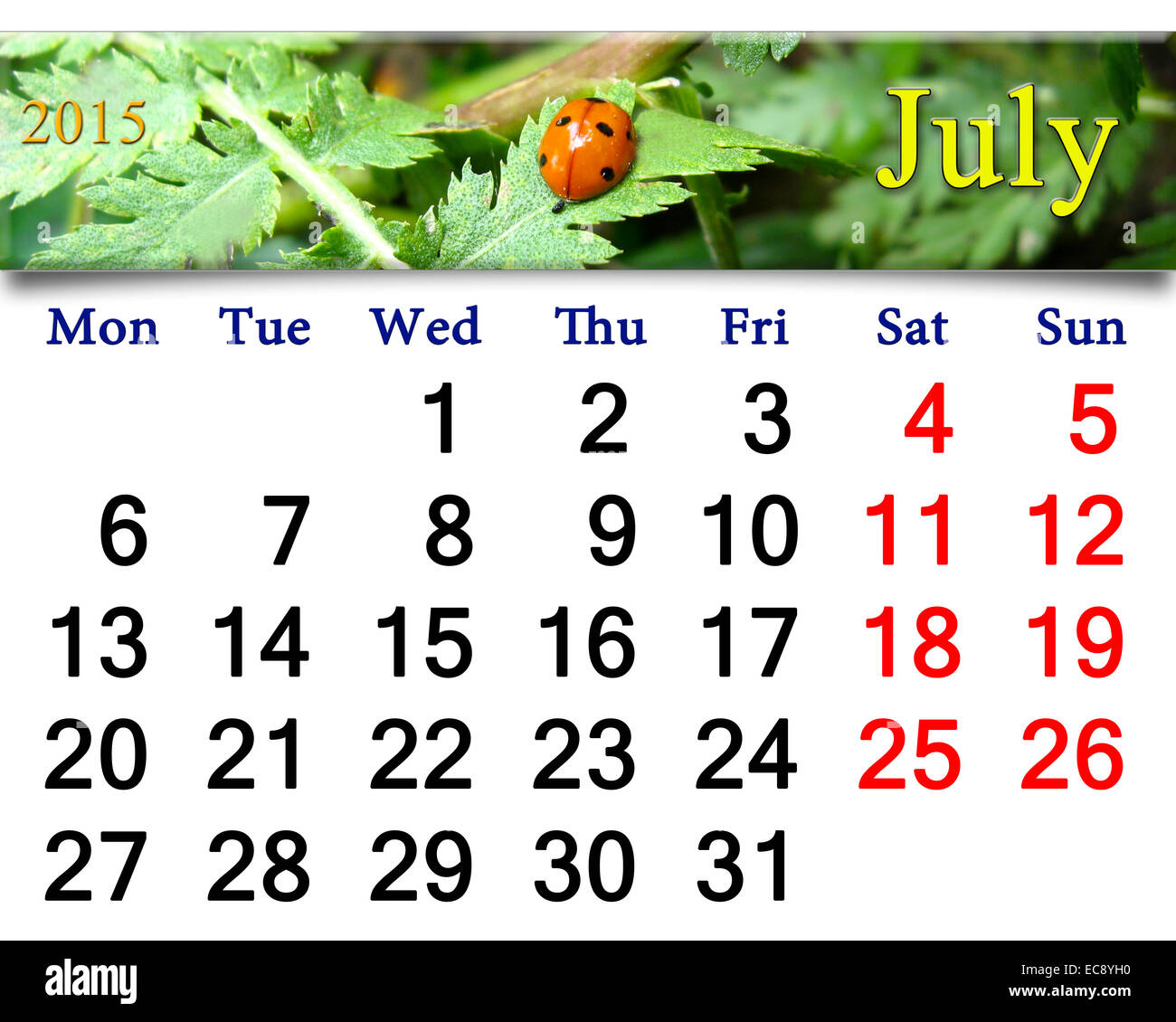 calendar for July of 2015 with ribbon of ladybird on the leaf Stock ...