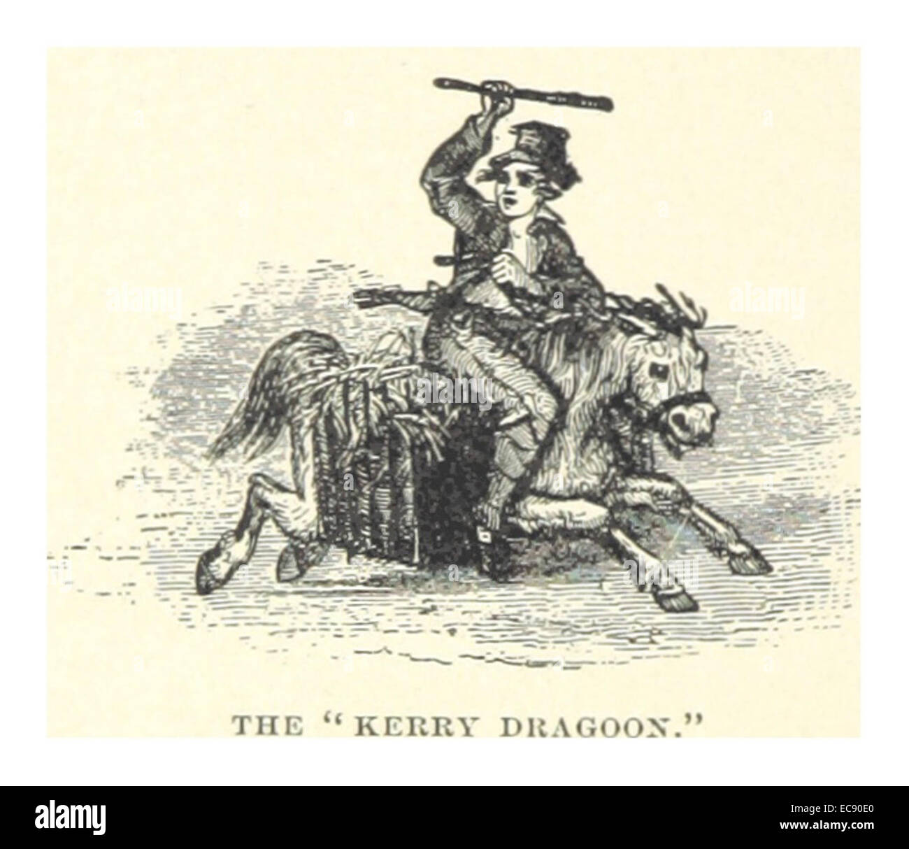 This 1891 reference by French details the Kerry Dragoons, an Irish ...