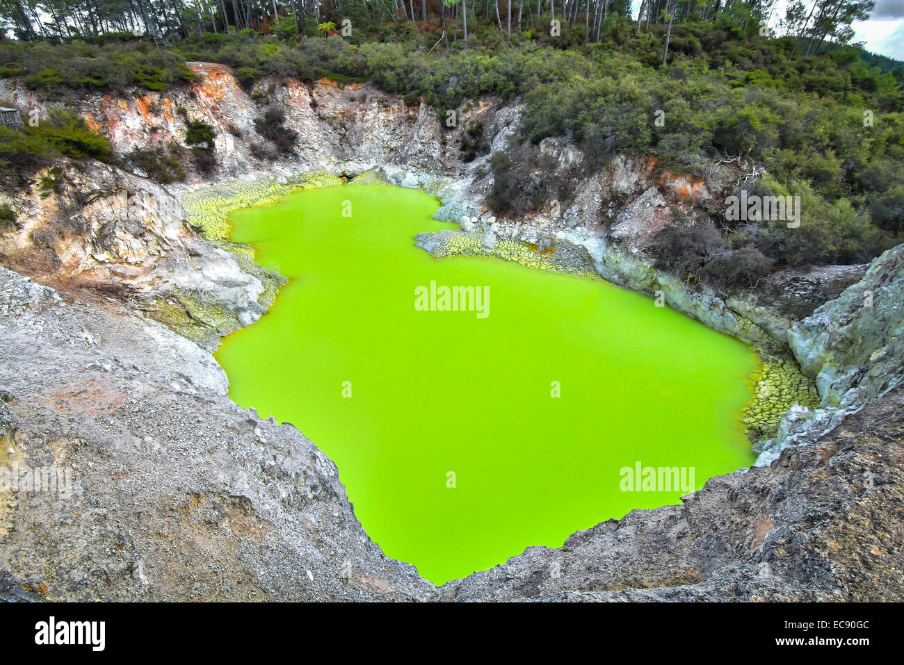 Neon Green Geothermal Pool at Wai-O-Tapu Geothermal Wonderland, New ...