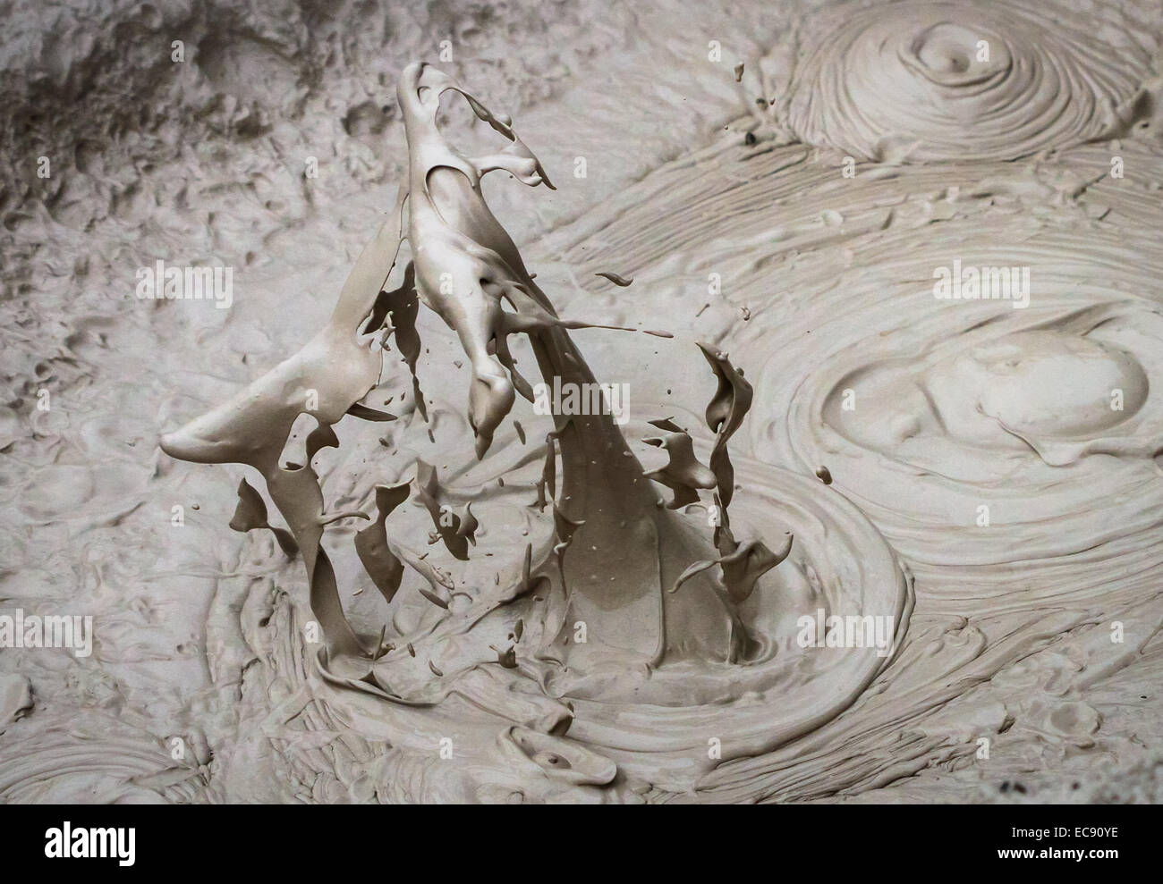 Boiling mud pool new zealand hi-res stock photography and images - Alamy