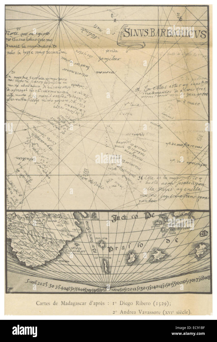 1529 map ribero hi-res stock photography and images - Alamy