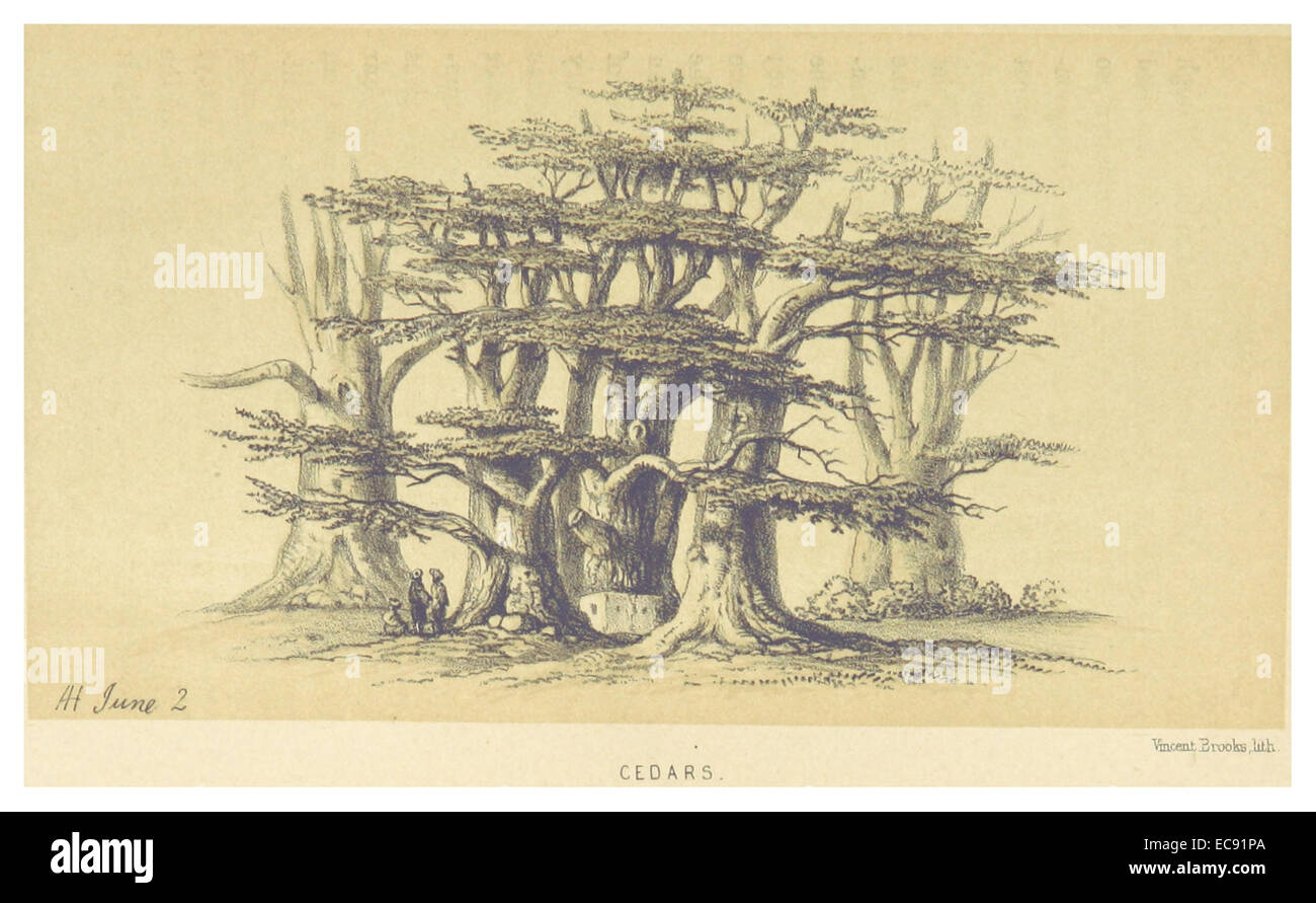 A historical reference from 1861 illustrating The Cedars, likely a ...