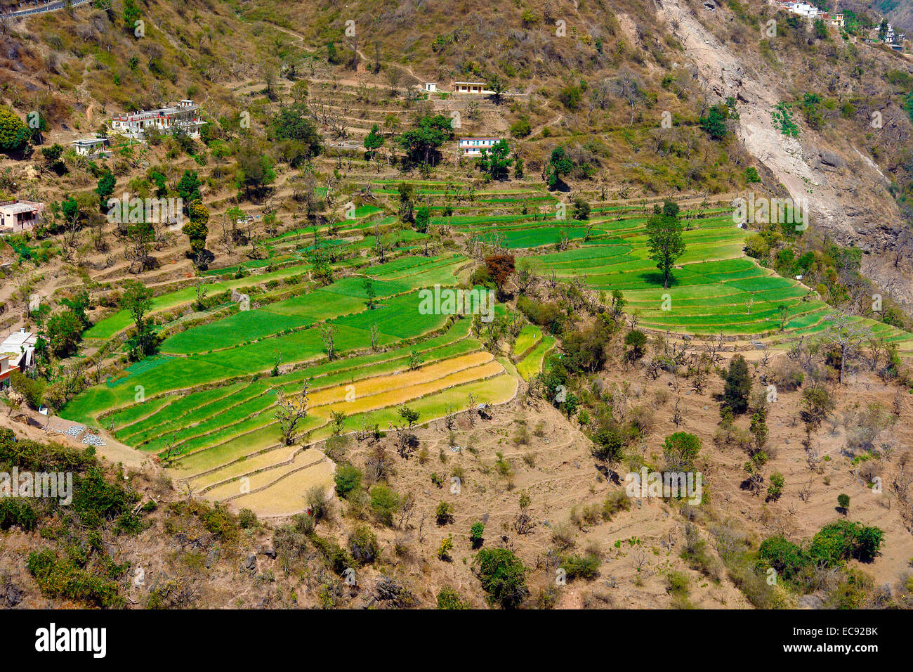 Chail hills hi-res stock photography and images - Alamy