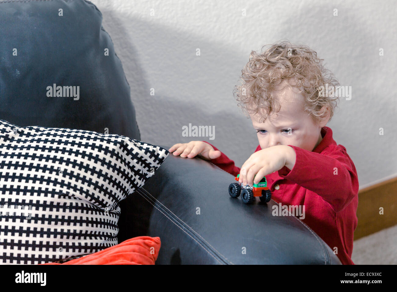 Family decorating beautiful live Christmas tree Stock Photo - Alamy
