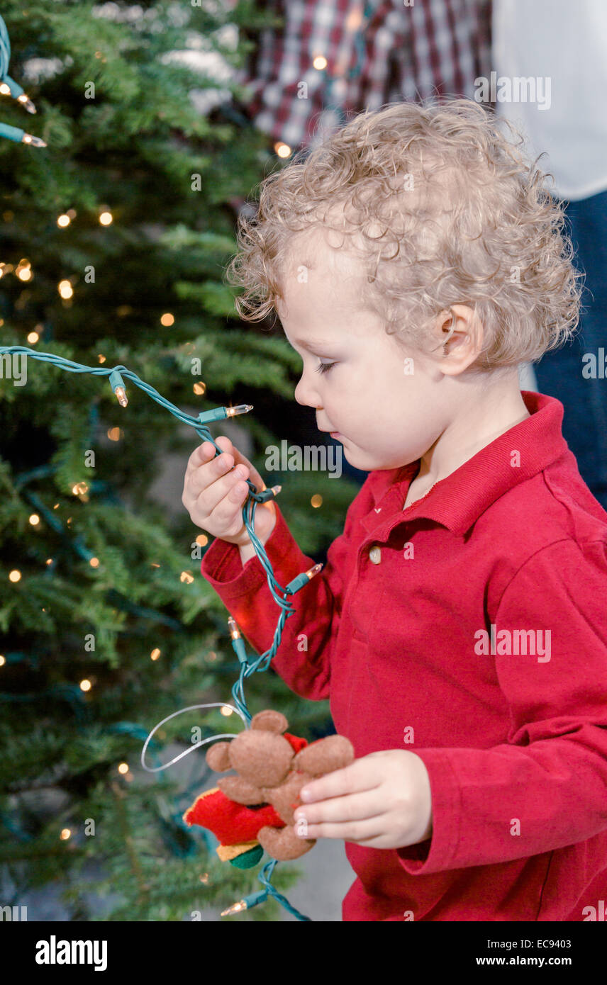Family decorating beautiful live Christmas tree Stock Photo - Alamy