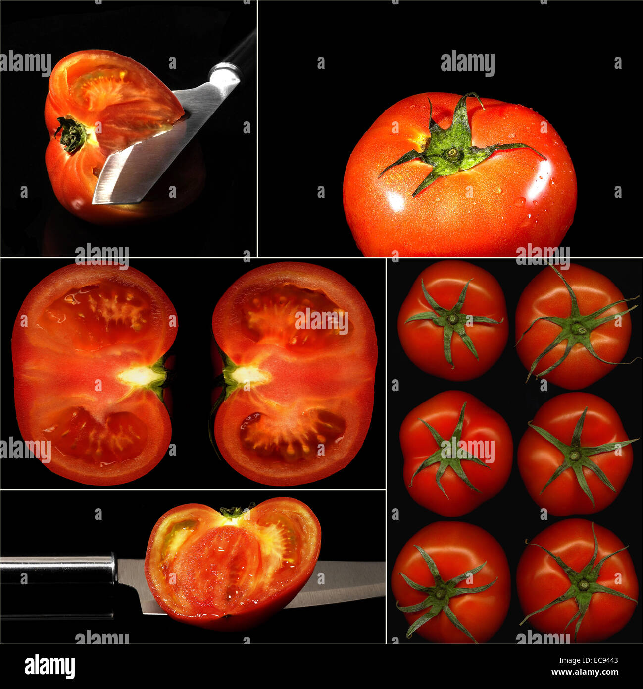 tomatoes collage composition nested on a black square frame Stock Photo ...