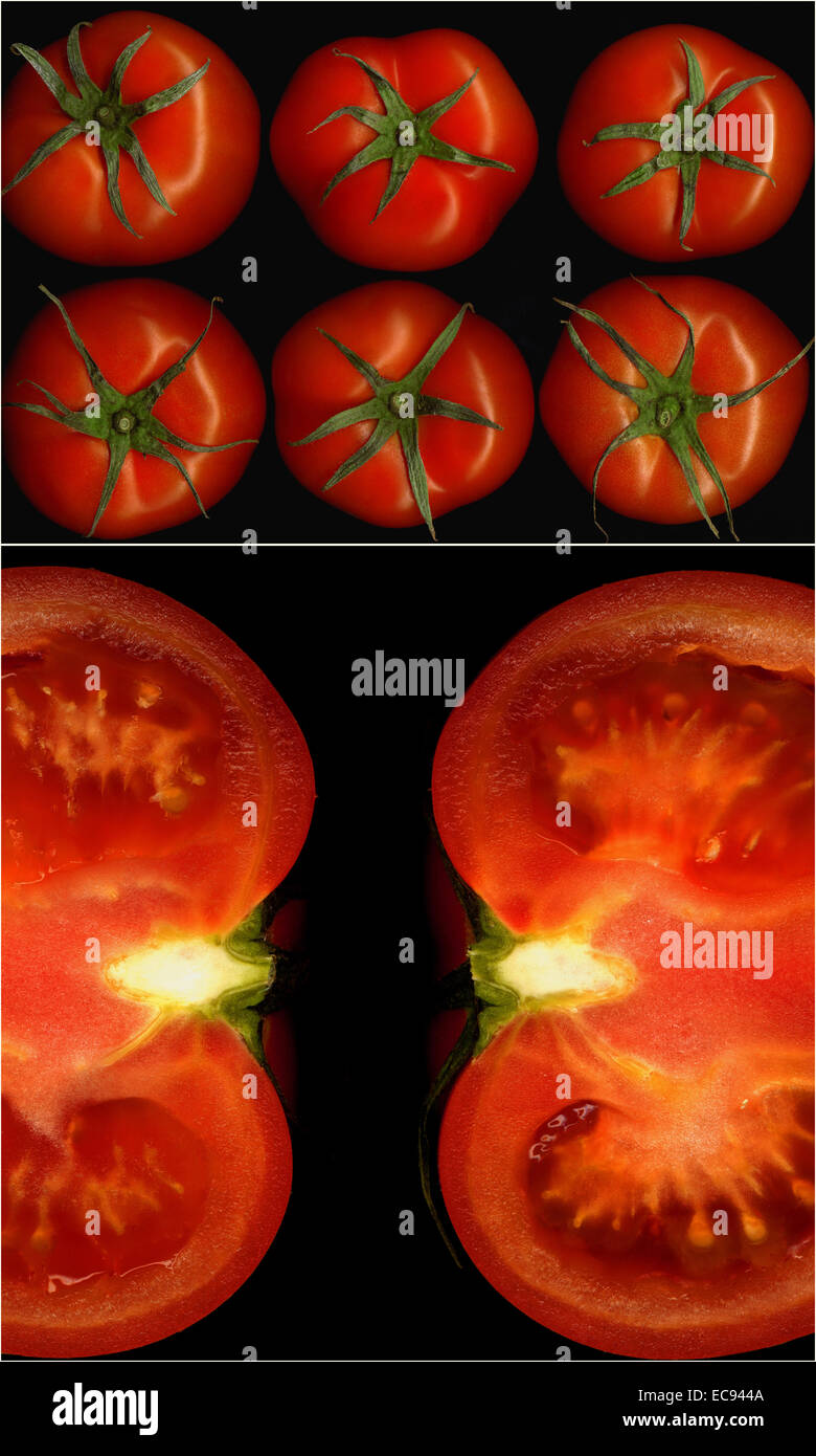 tomatoes collage composition nested on a black square frame Stock Photo ...