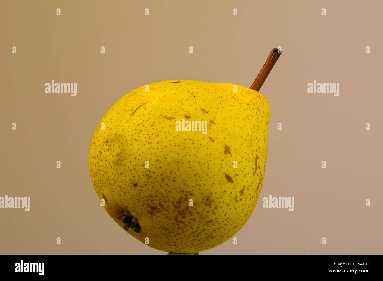 Pear with stalk hi-res stock photography and images - Alamy