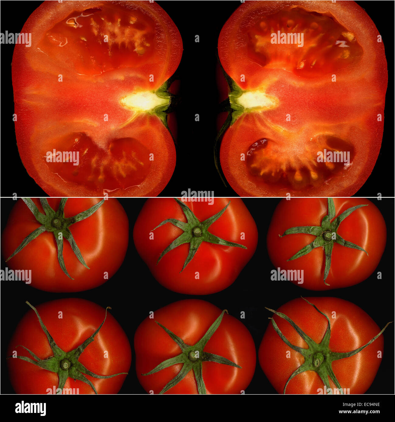 tomatoes collage composition nested on a black square frame Stock Photo ...