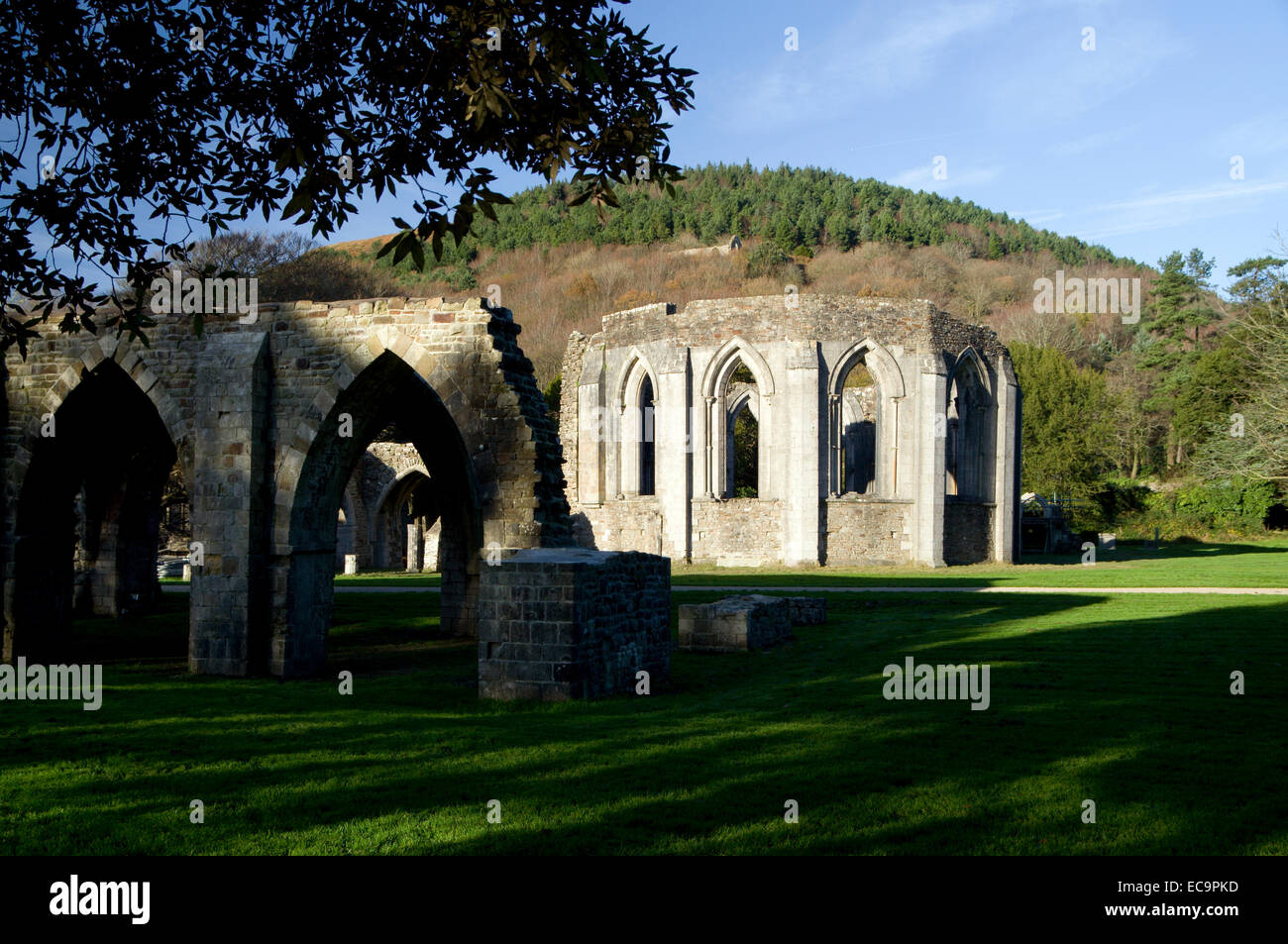 Cistercian Chapter House, Margam Manor Country Park, Port Talbot, Wales ...