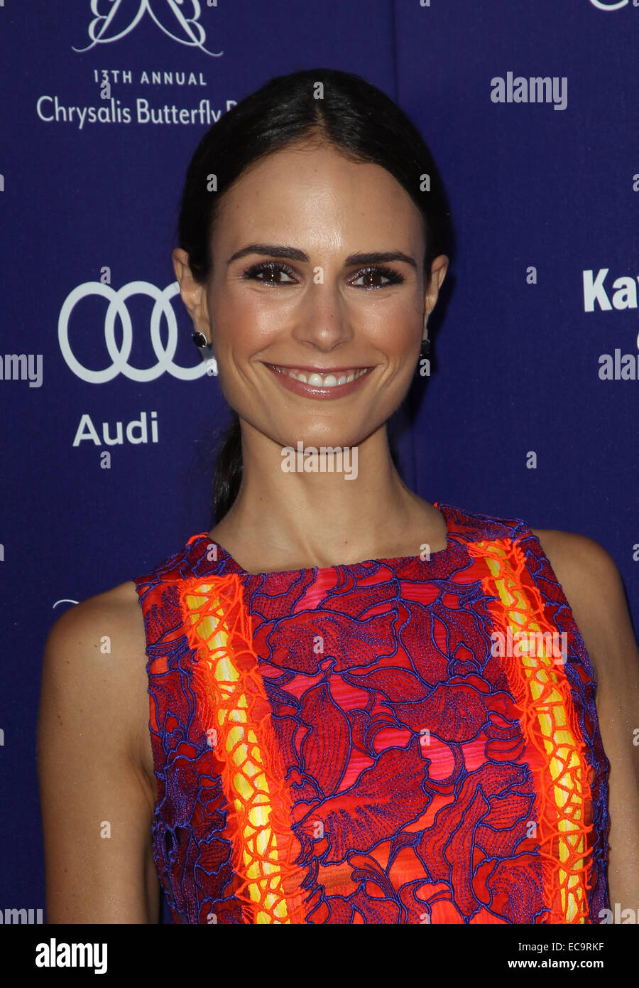 13th Annual Chrysalis Butterfly Ball held at a private residence in Bel ...