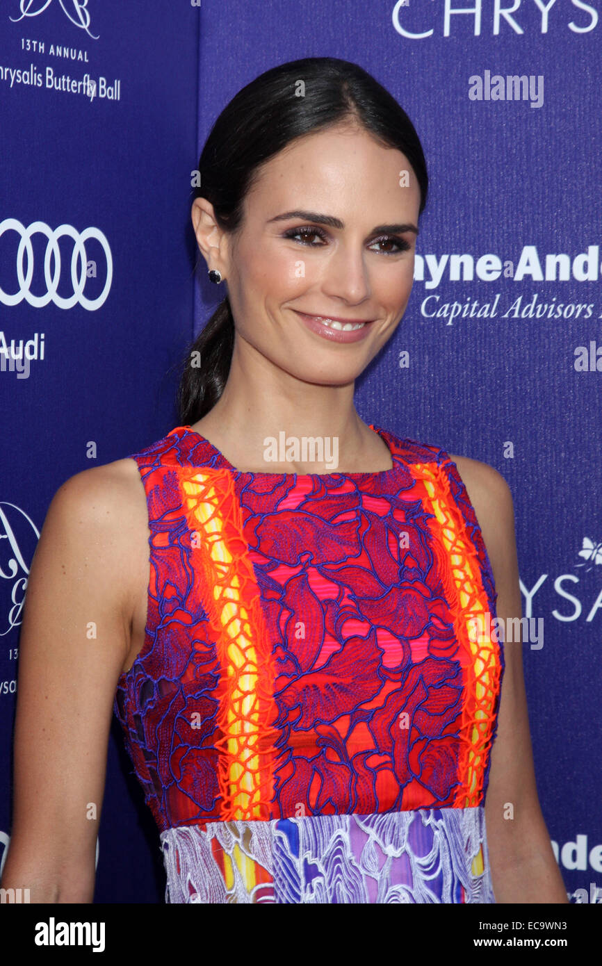 13th Annual Chrysalis Butterfly Ball held at a private residence in Bel ...