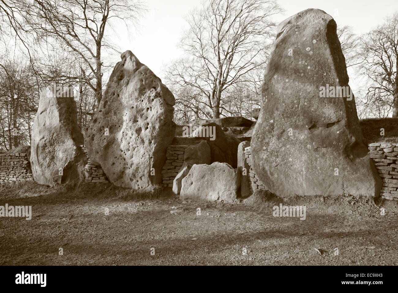 Neolithic horse hi-res stock photography and images - Alamy