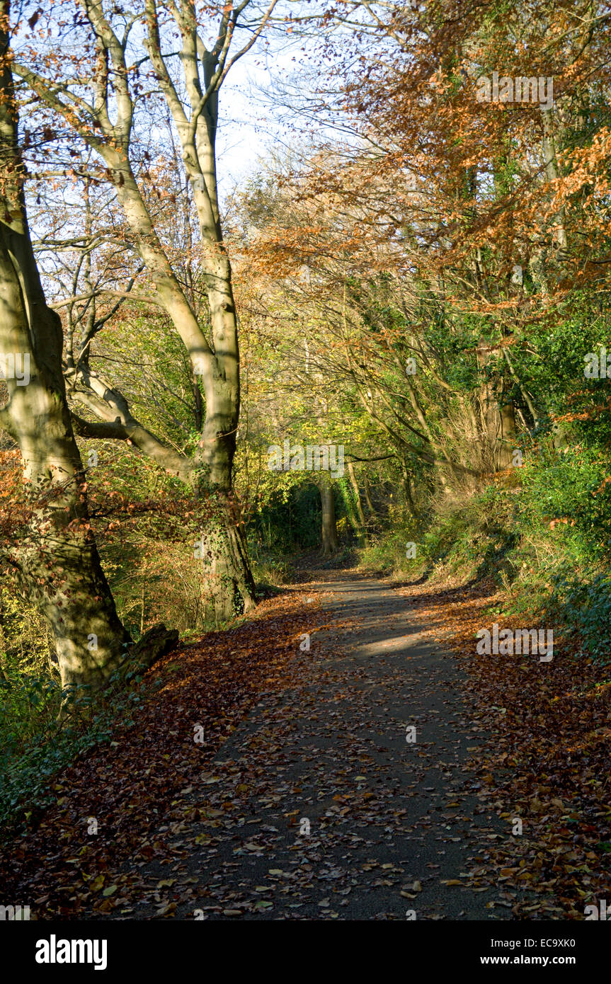 Ely Trail, between Fairwater and Saint Fagans, Cardiff Stock Photo - Alamy