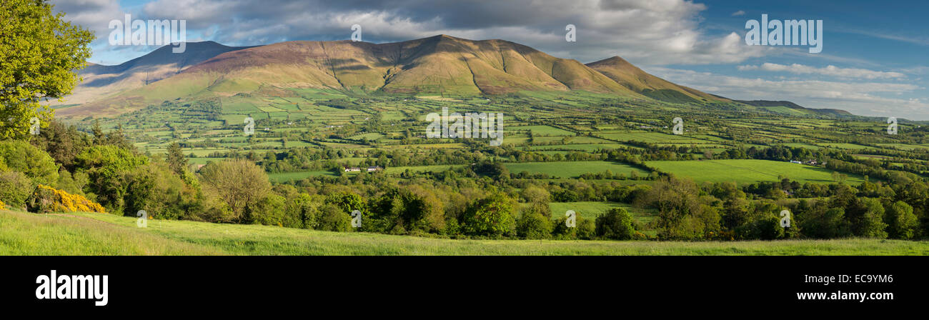 Tipperary hi-res stock photography and images - Alamy