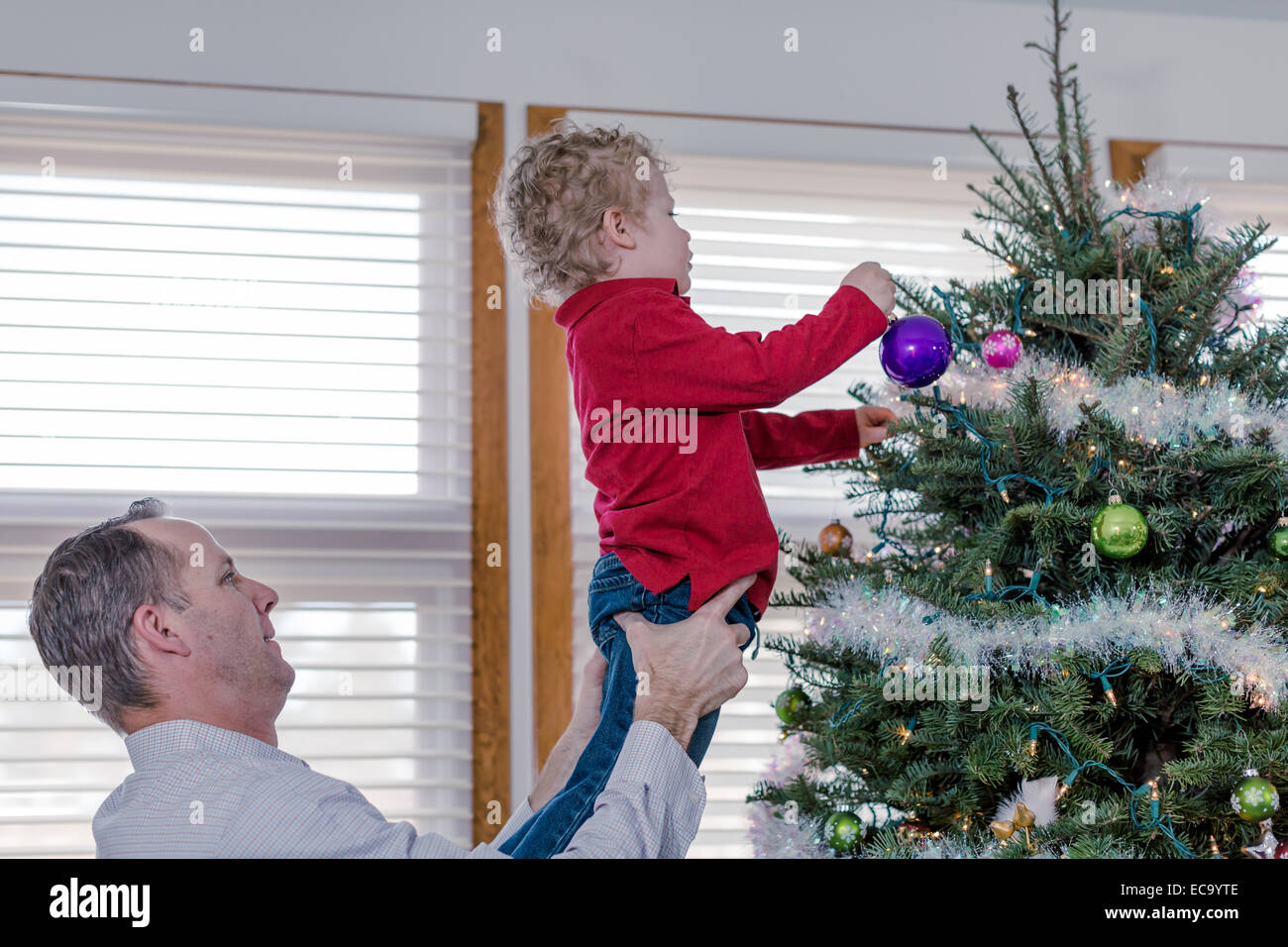Family decorating beautiful live Christmas tree Stock Photo - Alamy