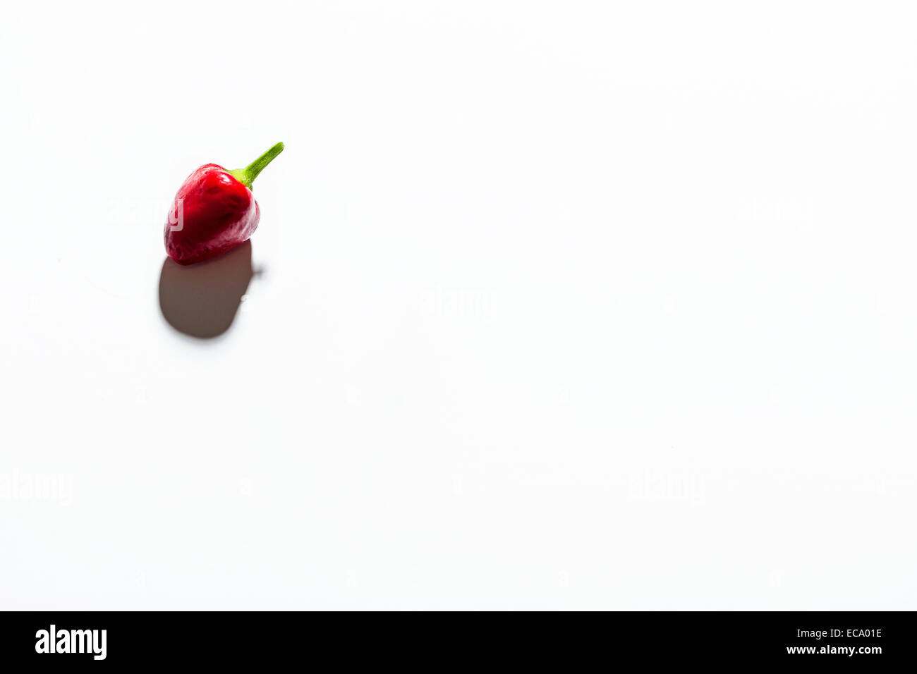 Single chili on white background Stock Photo - Alamy