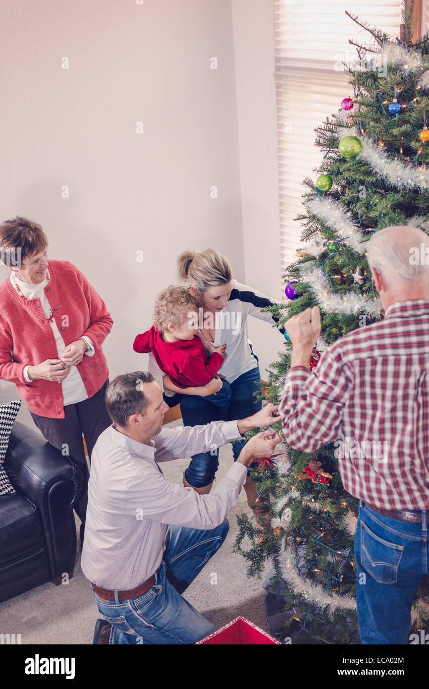 Family decorating beautiful live Christmas tree Stock Photo - Alamy