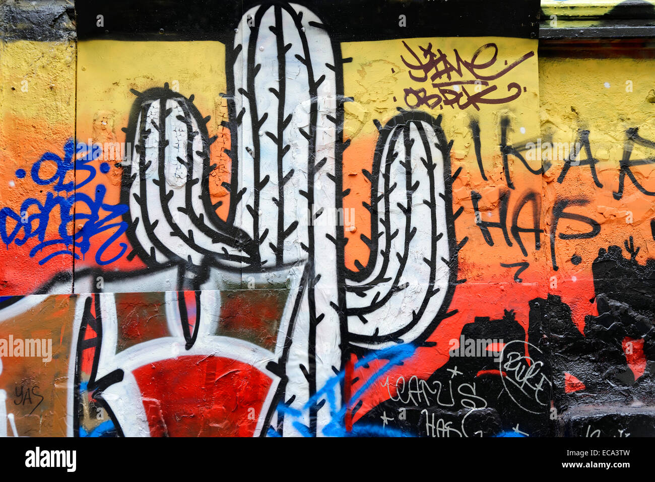 Cactus with graffiti hi-res stock photography and images - Alamy