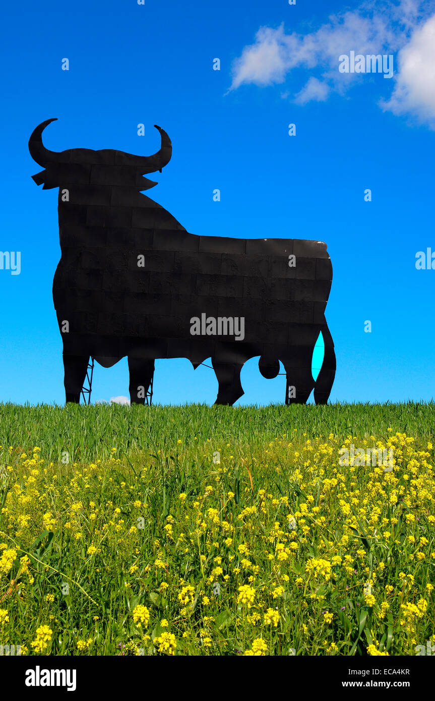 Spanish bull sign hi-res stock photography and images - Alamy
