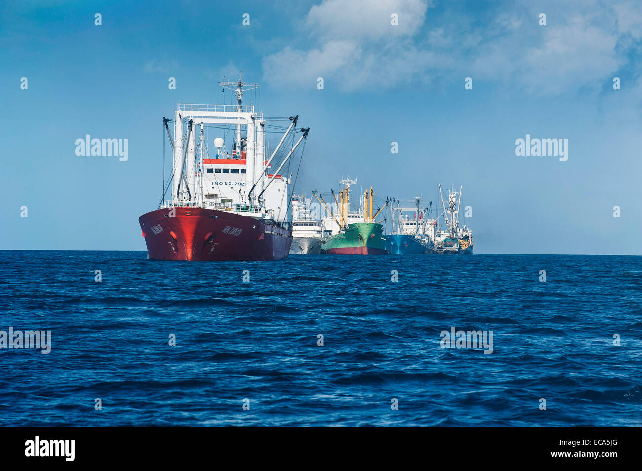 Chinese fishing trawlers, Pohnpei, Micronesia Stock Photo - Alamy