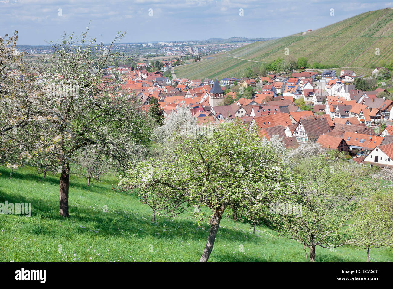 Weinstadt hi-res stock photography and images - Alamy