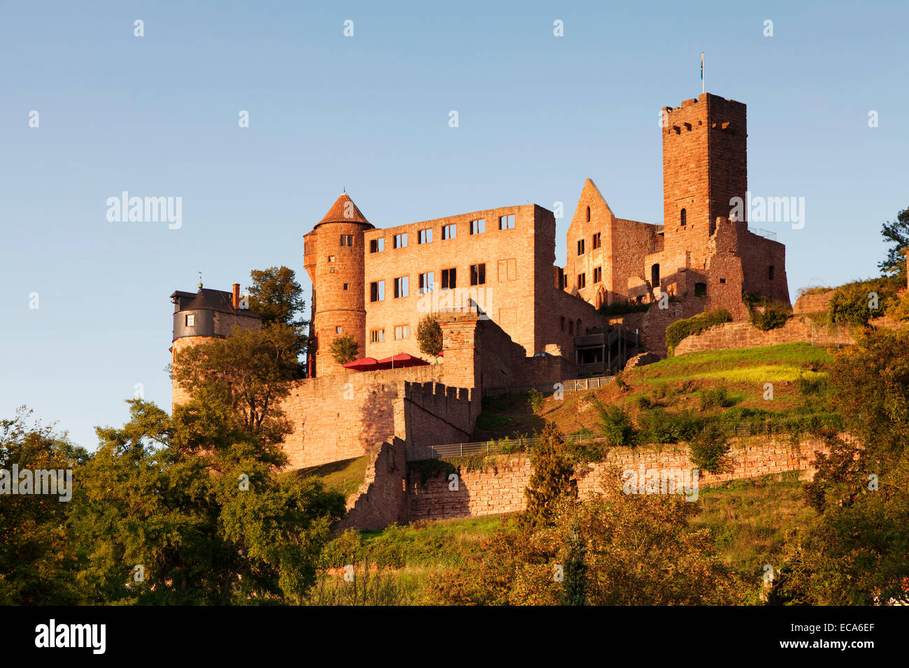 Wertheim Castle, Wertheim, Baden-Württemberg, Germany Stock Photo - Alamy